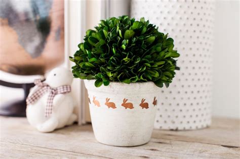 Introducing Cricut Easter Happy Diy Spring Cricut