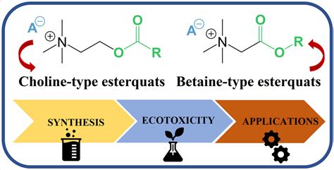 Rethinking The Esterquats Synthesis Stability Ecotoxicity And