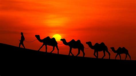 Arabian Desert Night Wallpapers Top Free Arabian Desert Night