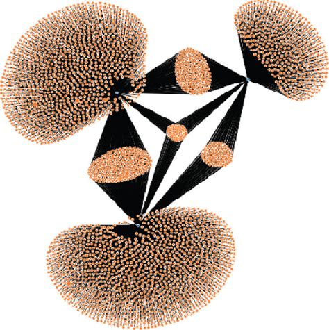 Construction Of Mirna Mrna Network A The Mirna Target Gene Network