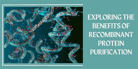 Exploring The Benefits Of Recombinant Protein Purification Biomatik