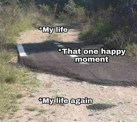 50 Memes That Prove Sarcasm Is Probably The Best Form Of Comedy As Seen On This Ig Page Bored