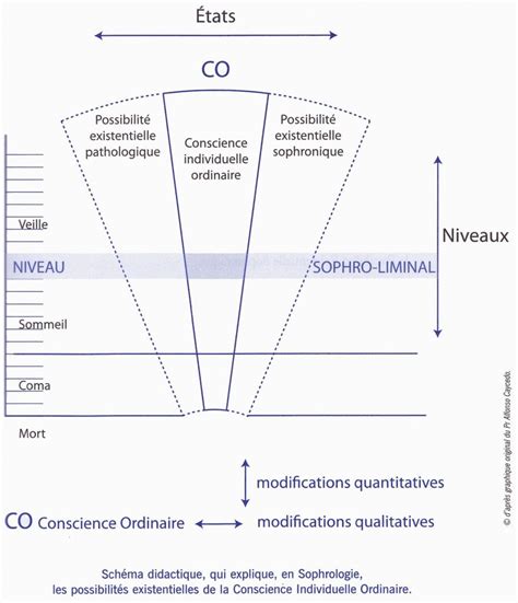 Sciences Cognitives Le Cortecs