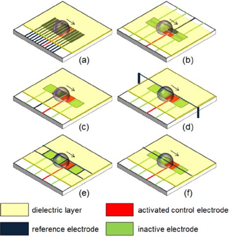 Schematics Of Various Single Plate Electrowetting Configurations For Download Scientific