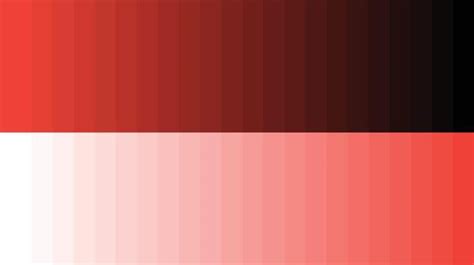 Red Color Swatch