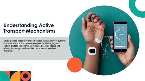 Glucose Absorption Secondary Active Transport Ppt Sample Acp Ppt
