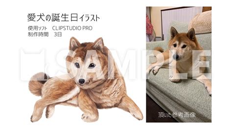 主に受けた依頼内容 イラスト制作依頼はタノムノ