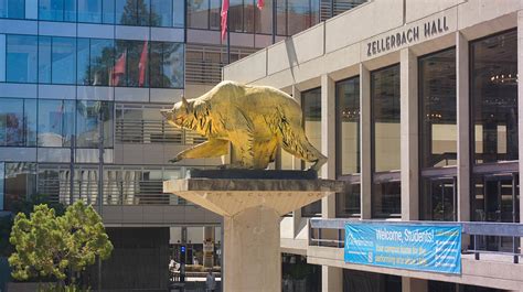 The Golden Bear Uc Berkeley Photograph By La Moon Art Pixels