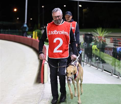 Zammits Eye Unfinished Business In The Phoenix Greyhound Recorder