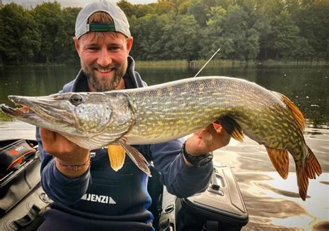 Lure Fishing For Pike The Uk Guide
