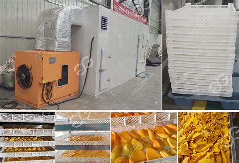 Fully Automatic Dried Mango Fruits Processing Machine