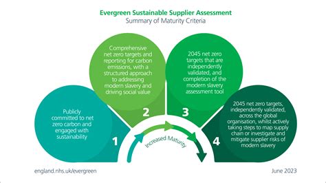 Evergreen Process Diagram Kora Healthcare