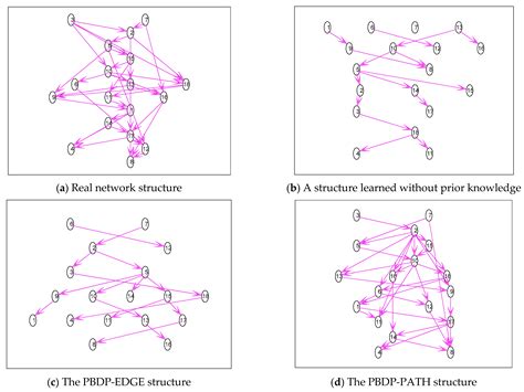 Dynamic Programming Bn Structure Learning Algorithm Integrating Double