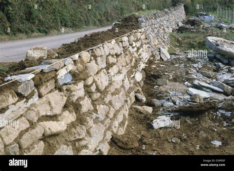 Cornish Hedge Construction Of Earth Bank Faced With Stones Cornwall