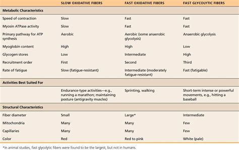 Gender Differences In Strength And Muscle Fiber