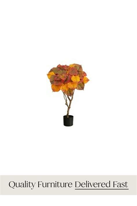 Fall Foliage 3ft Umbrella Ficus Tree Ficus Tree Ficus Fall Foliage