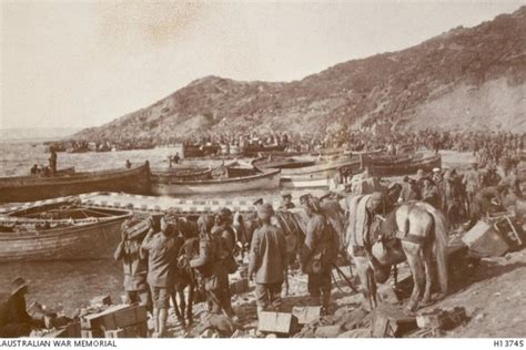 Australia At War And Gallipoli Campaign 19011945