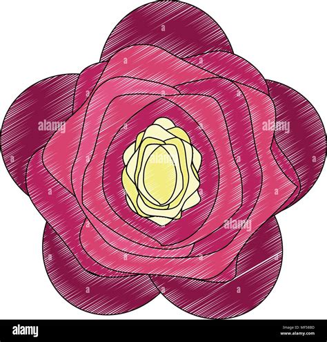Beautiful Flower Symbol Scribble Stock Vector Image And Art Alamy