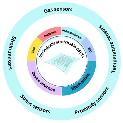 Recent Progress In Intrinsically Stretchable Sensors Based On Organic Field Effect Transistors