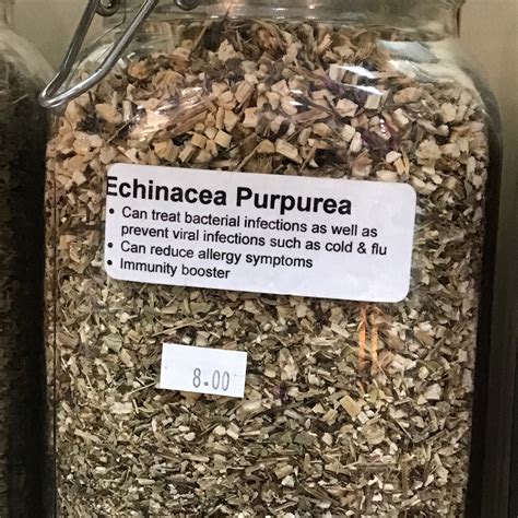Bulk Echinacea Purpurea Crystal Fairy Patch By Vegas Crystal Healings