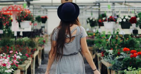 How To Balance Hormones Naturally Dr Jolene Brighten