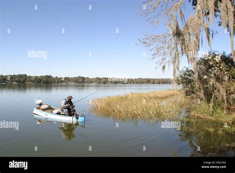Florida Paynes Prairie State Preserveavesaviannaturenatural