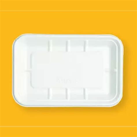 Size 8 Inch Bagasse Rectangular Biodegradable Tray At ₹ 29piece In
