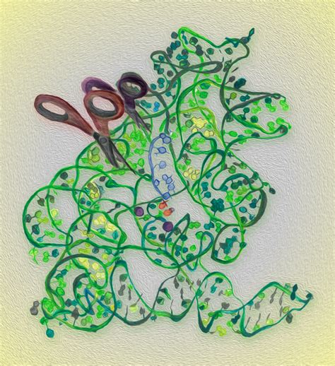 Giulia Palermo Wins The 2020 Corwin Hansch Award Inside Ucr Uc