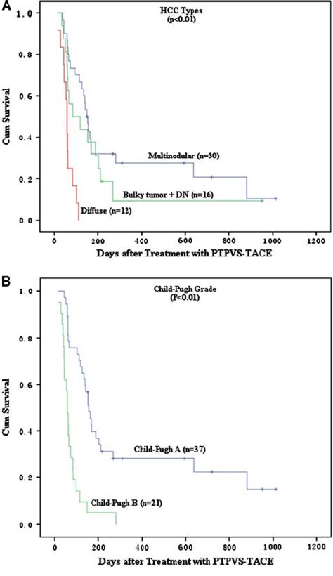 Kaplanmeyer Histogram Presenting The Cumulative Survival Rates