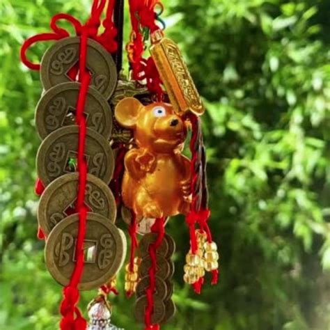 Amuleta Sobolan Cu Desaga Banilor Si 8 Monede Chinezesti Sau Ardei