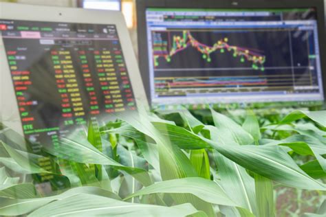 Agricultural Commodities Ideal During Fall Volatility