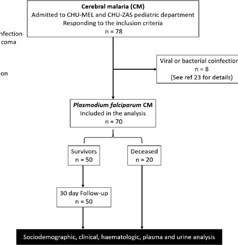 Figure 1 From Elevated Plasma Il 8 As A Risk Factor For Mortality In