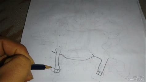 تعليم الرسم للأ طفال رسم ماعز رسومات Youtube