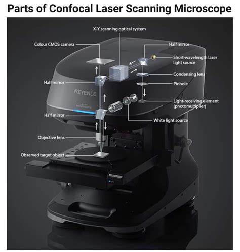 Confocal Laser Scanning Microscope Principle Parts Uses
