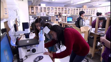 Explore Uw Engineering Bioengineering Youtube