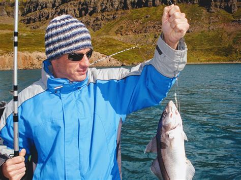 דג בקלה קוד מלך הדגים האיסלנדי Another Iceland