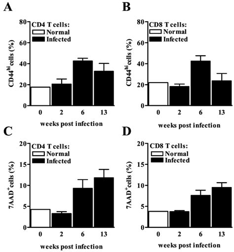 T Cell Activation And Apoptosis During L Major Infection Lymph Node Download Scientific