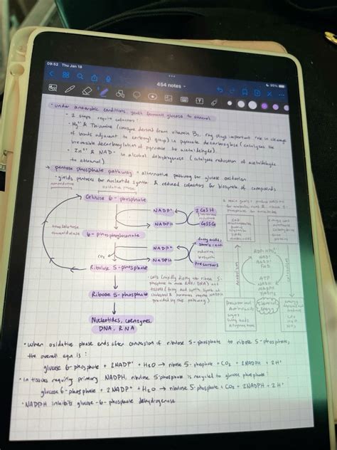 Glycolysis Pathways Diagram