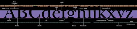 Anatomía De La Tipografía