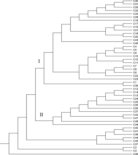 Dendrogram Represents The Genetic Relationships Among 48 Capsicum