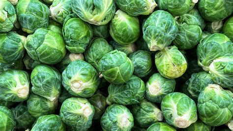 Are Brussels Sprouts Technically Just Mini Cabbages