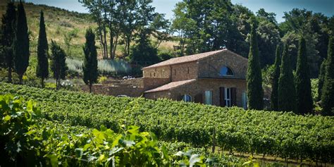 Domaine Joseph Roty Robert Rolls