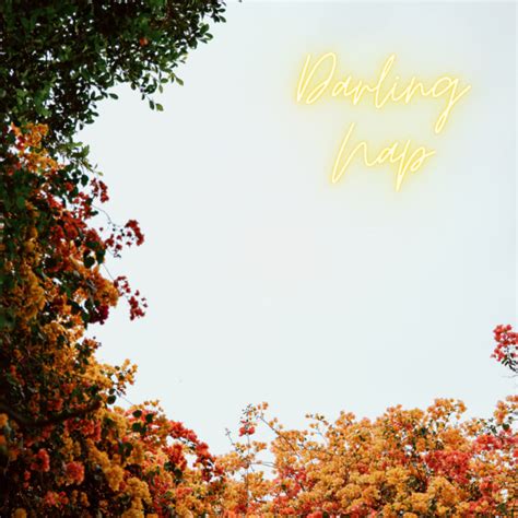 Theodorus Aardema Songs List Analysis And Similar Artists Chosic