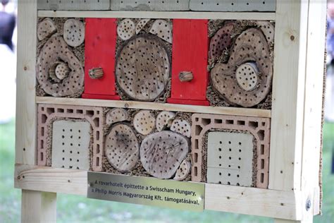 Botos Barbara Cseppek Hu