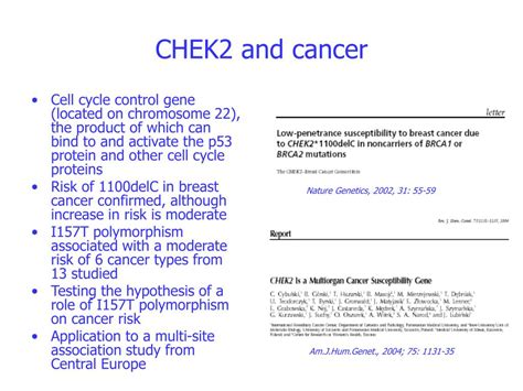 Ppt Assessment Of Biological Plausibility In Cancer Powerpoint