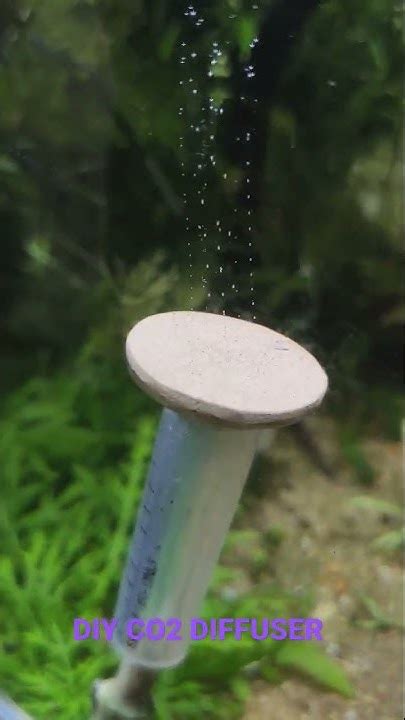 Diy Co2 Diffuser Youtube