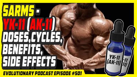 501 Sarms Yk 11 Ak 11 Dosescyclesbenefitsside
