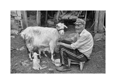 My Father Joshkun Daudov Национално Сдружение Фотографска Академия Янка Кюркчиева