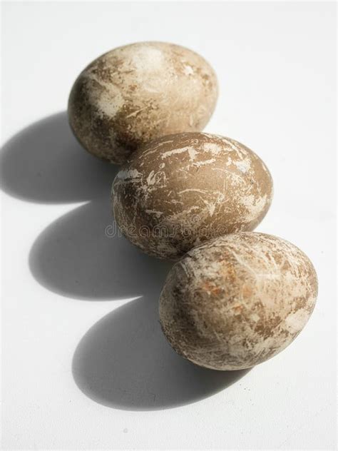 Background With Easter Eggs Naturally Dyed Eggs Prepared For Easter On White Background Happy