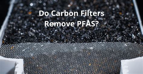 Do Carbon Filters Remove Pfas Living Whole